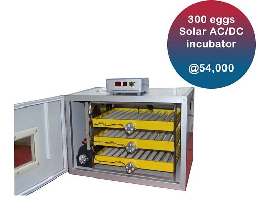 300 Eggs Ac/Dc Solar Incubator. - FarmHatch Incubators